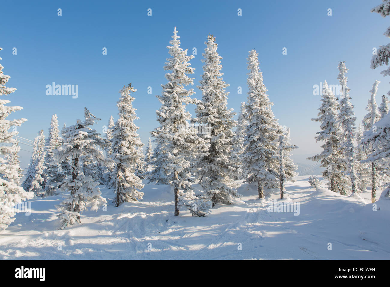 Beautiful winter landscape with snow covered trees Stock Photo - Alamy