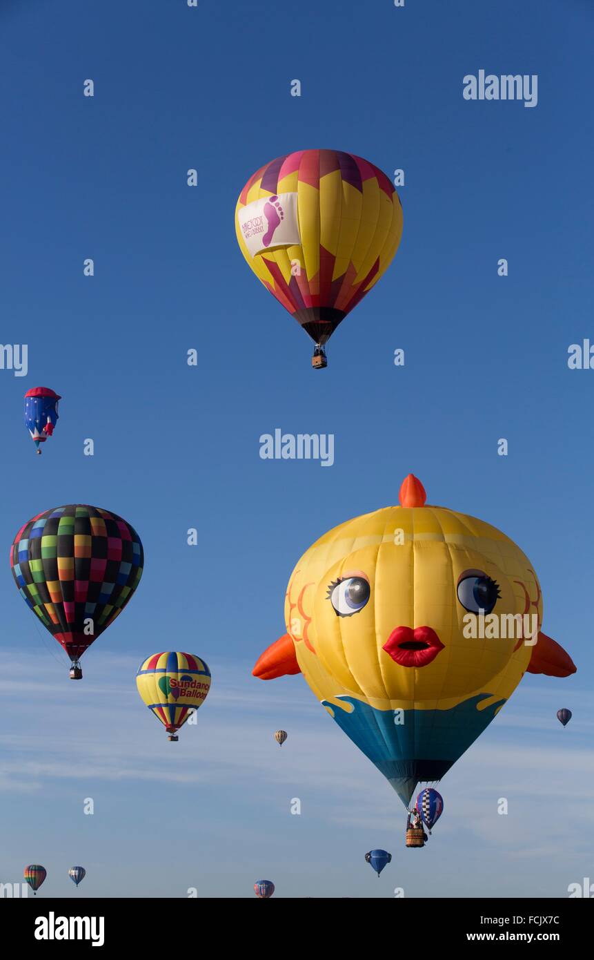 Hot Air Balloons with Special Shape Balloon 'Sushi', 2015 Balloon ...