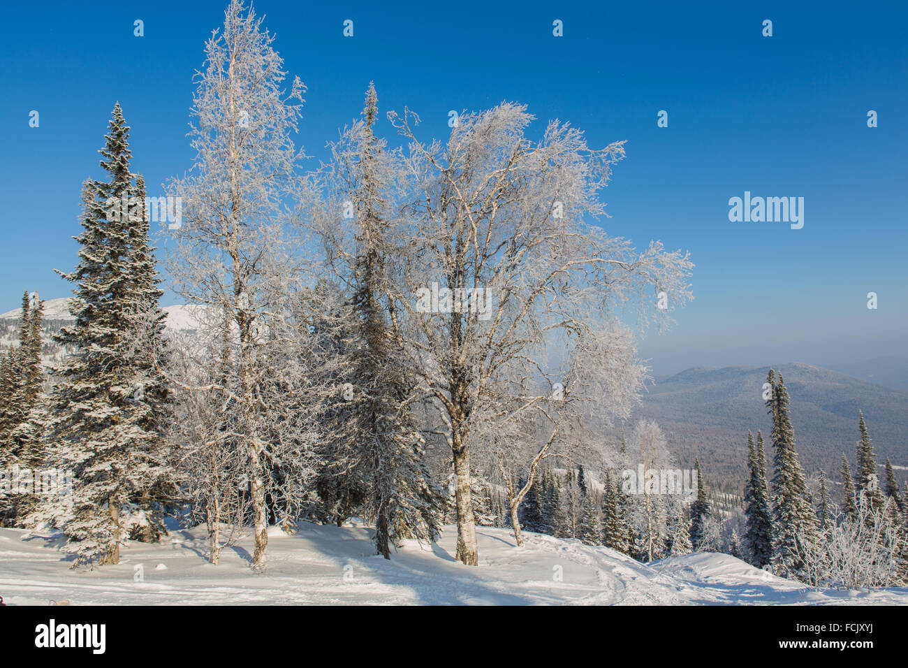 Beautiful winter landscape with snow covered trees Stock Photo - Alamy