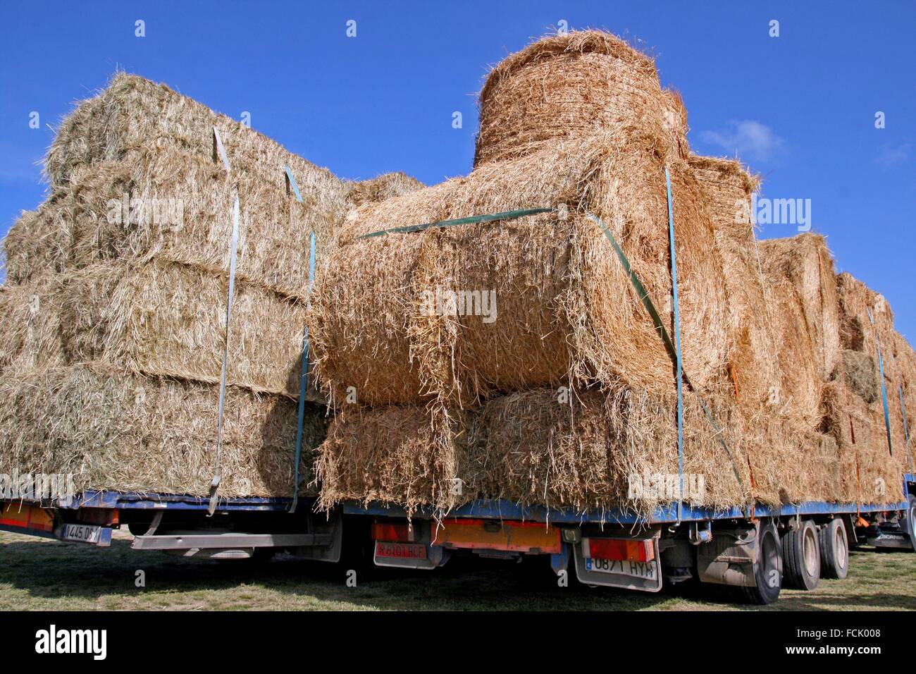 Trucks with straw bales Stock Photo - Alamy