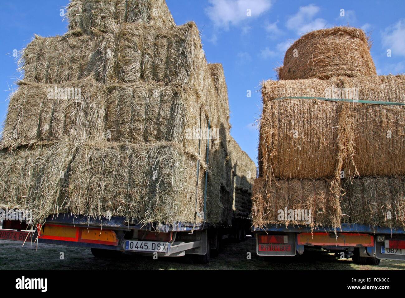 Big load of straw hi-res stock photography and images - Alamy