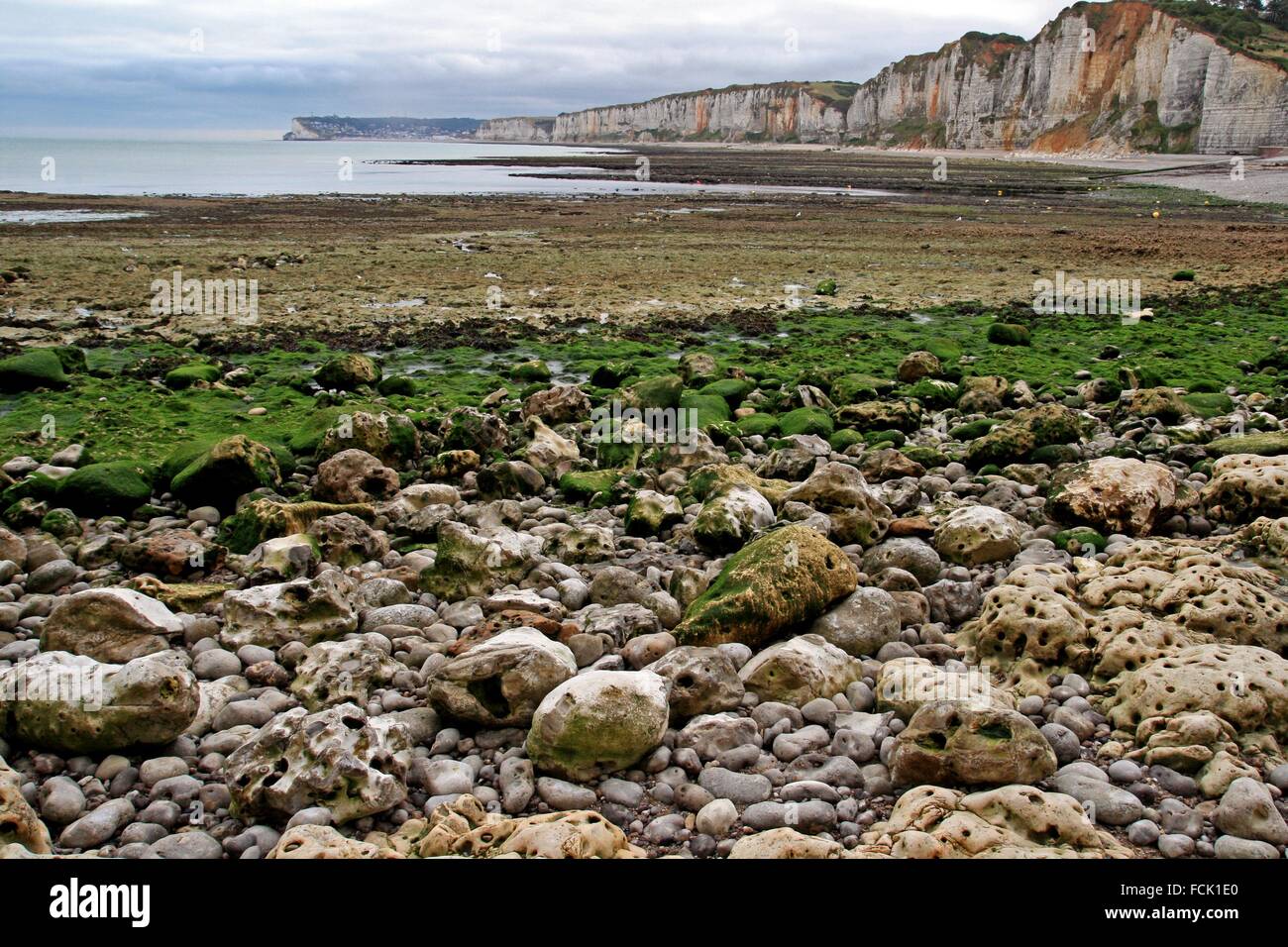 Beach, cliffs, Côte d´Albâtre, Normandy, France Stock Photo - Alamy