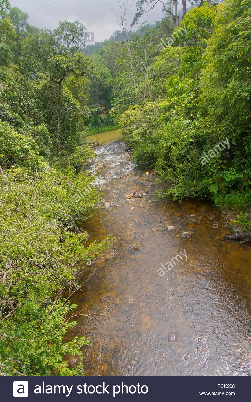 Sinharaja National Park High Resolution Stock Photography and Images ...