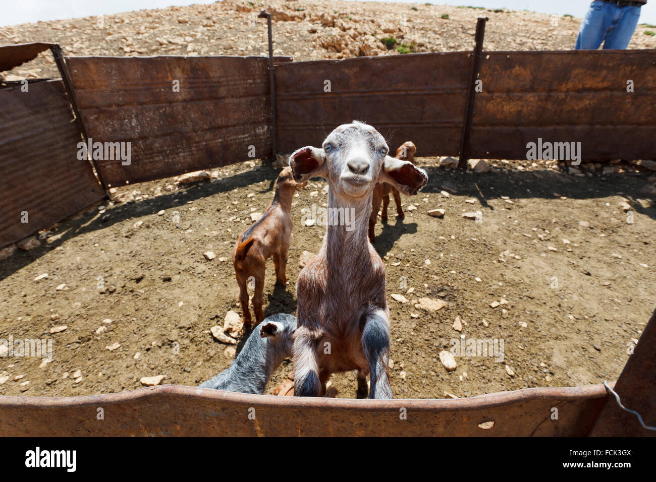 Lebanese mountains hi-res stock photography and images - Alamy