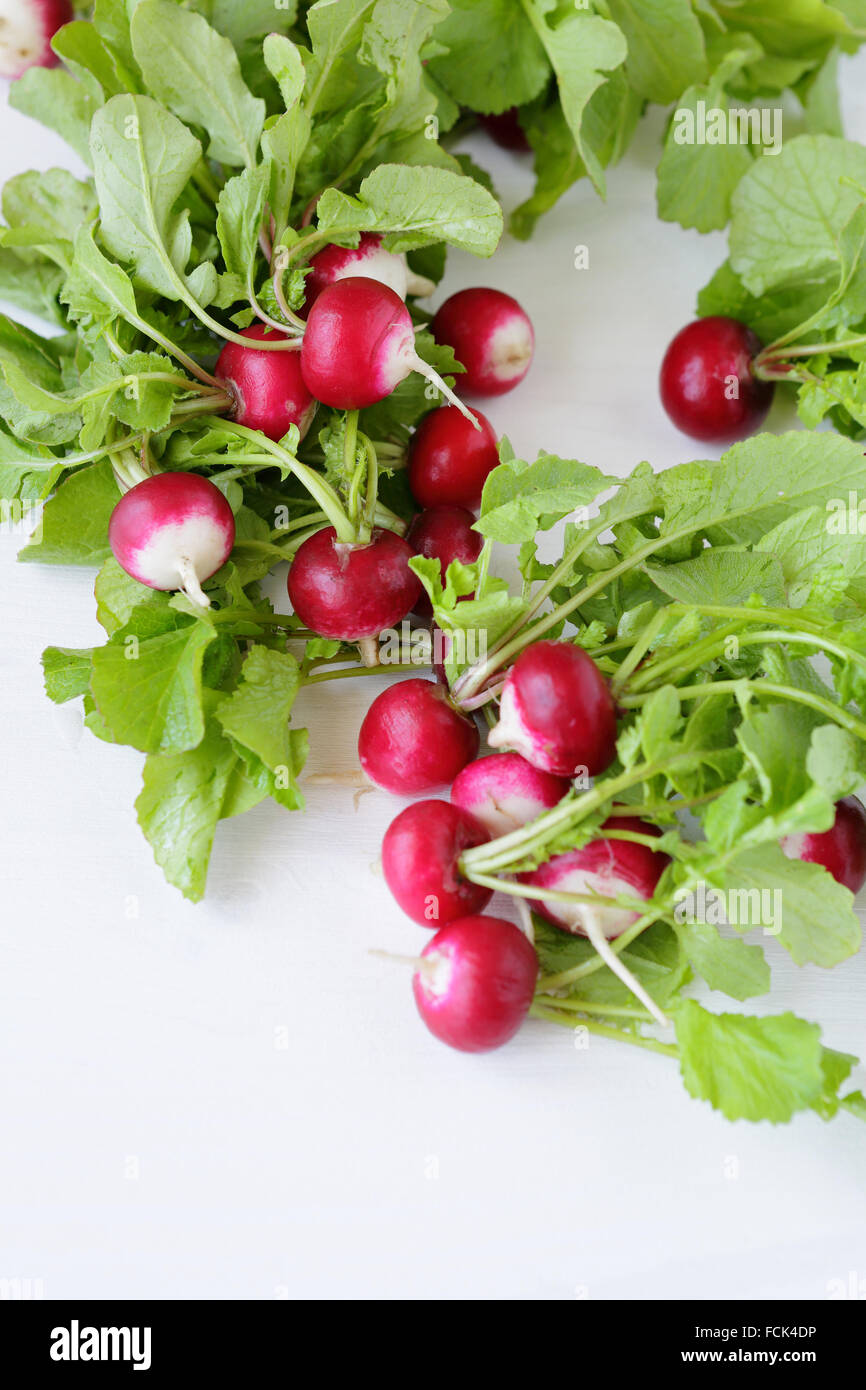 harvest of fresh red radish, top view Stock Photo - Alamy