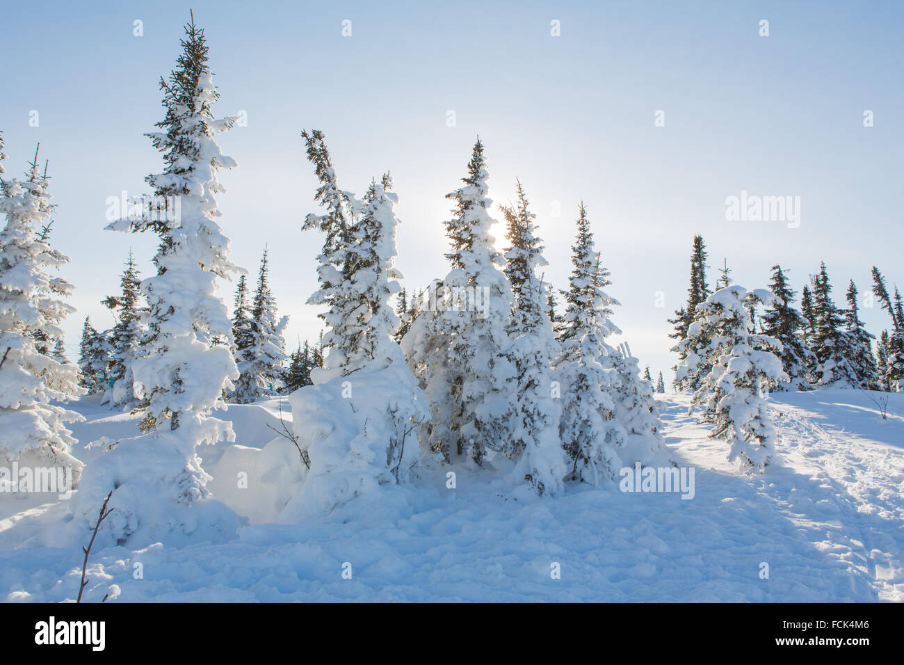 Beautiful winter landscape Stock Photo - Alamy