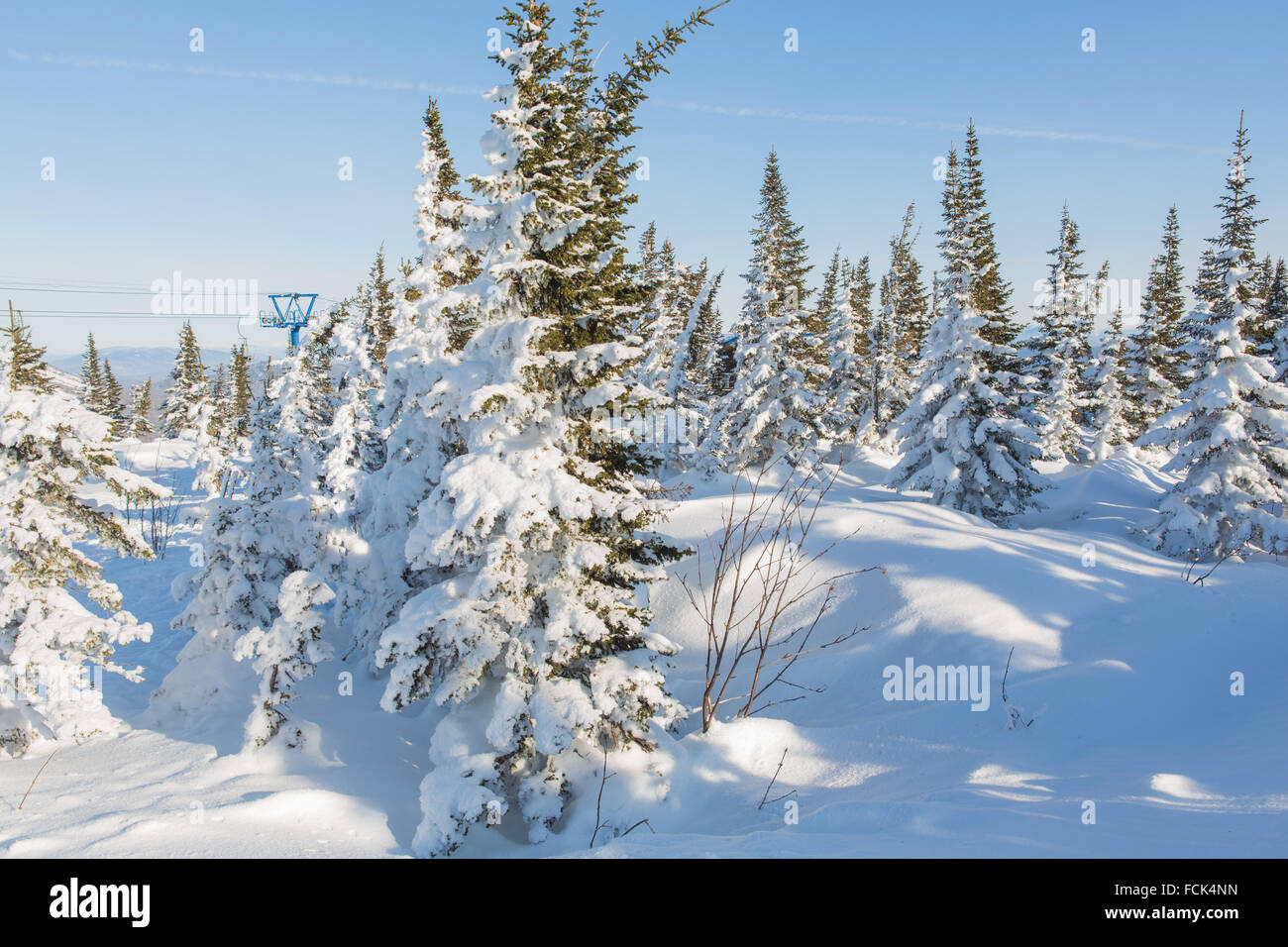 Beautiful winter landscape Stock Photo - Alamy