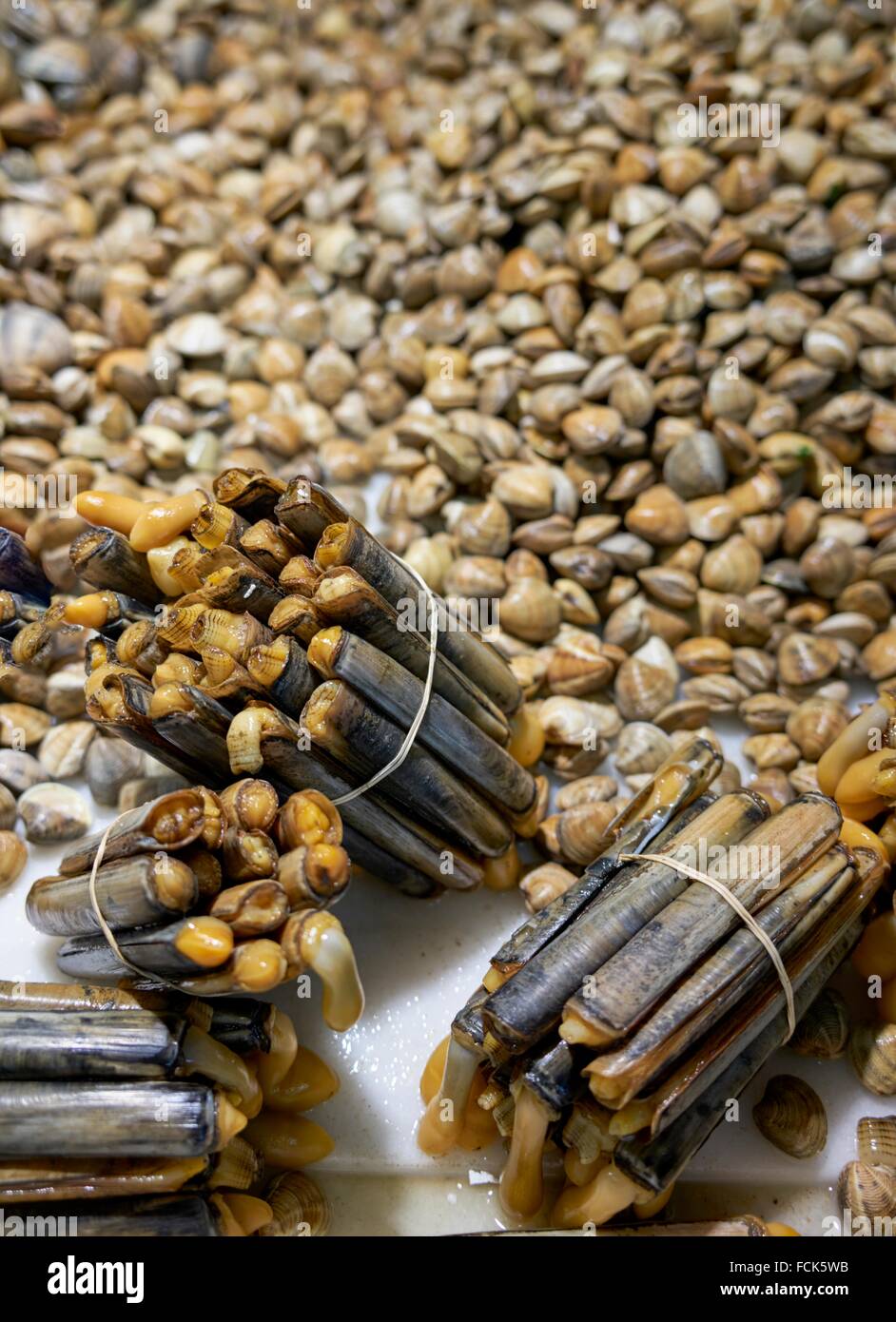 Razor Shell Ensis Arcuatus High Resolution Stock Photography and Images ...