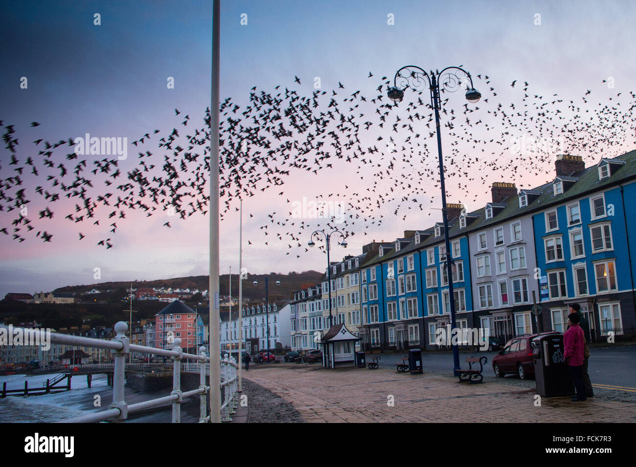 Aberystwyth Wales UK,Saturday 23 January 2016 Just before sunrise in ...