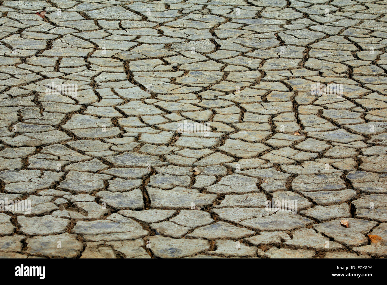 Soil texture dry hi-res stock photography and images - Alamy