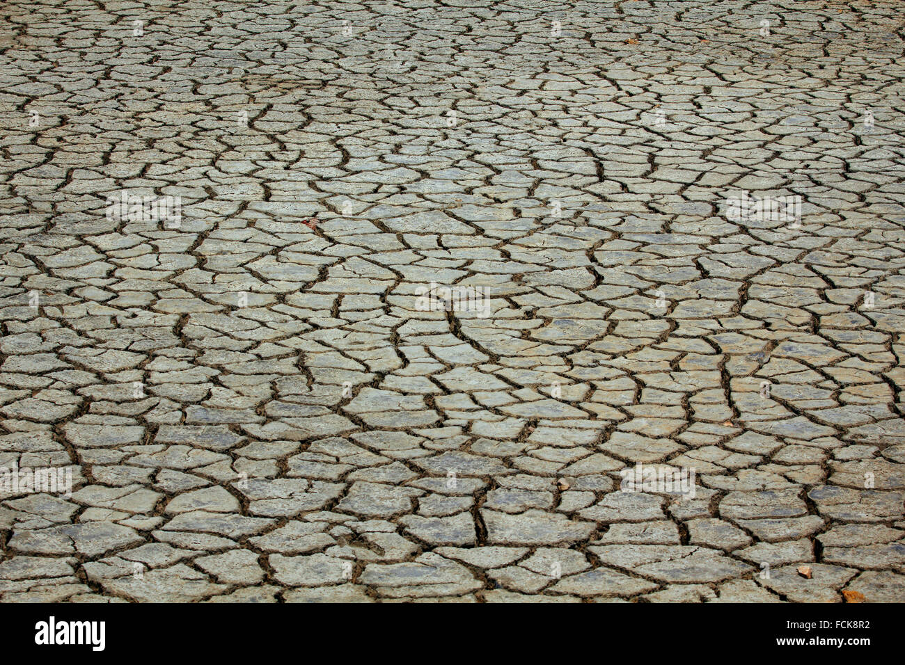 Soil texture dry hi-res stock photography and images - Alamy