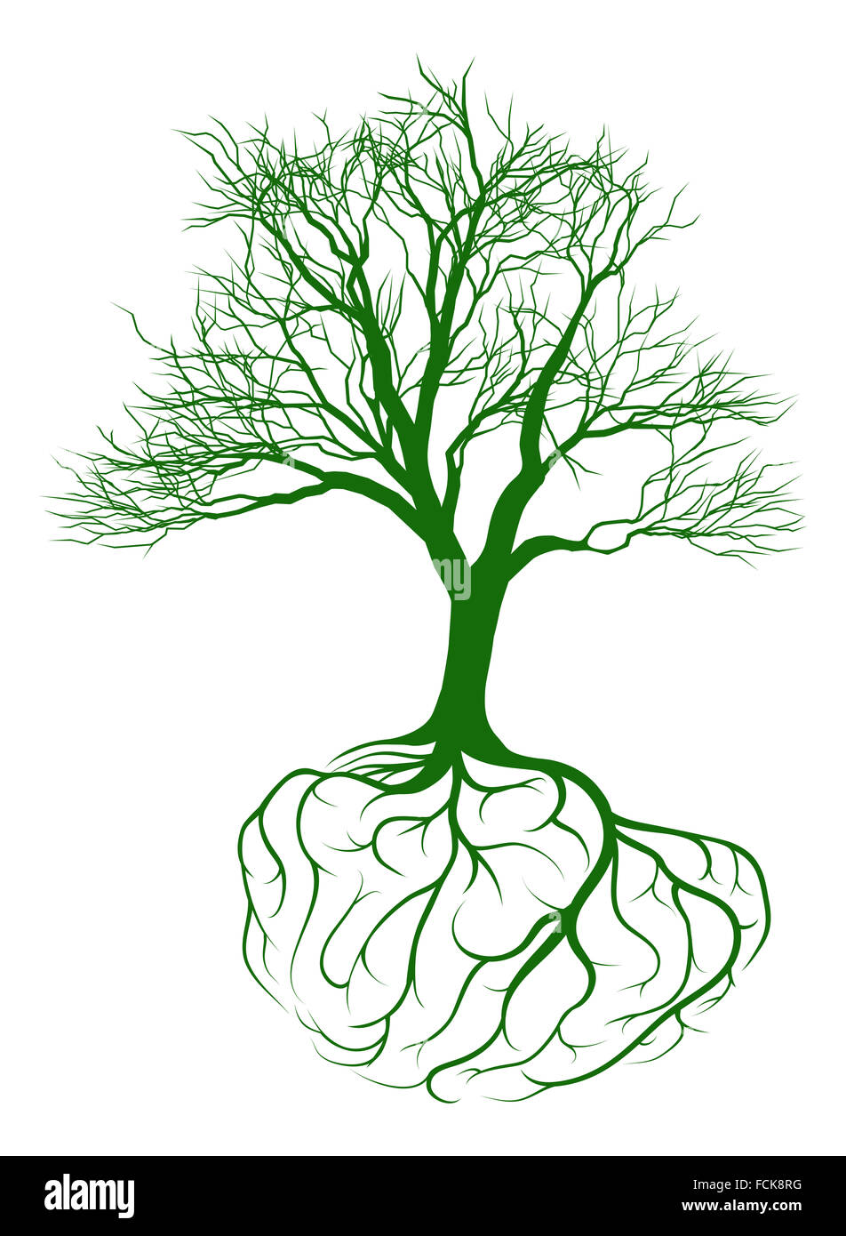 A tree growing from rooots shaped like a human brain Stock Photo - Alamy