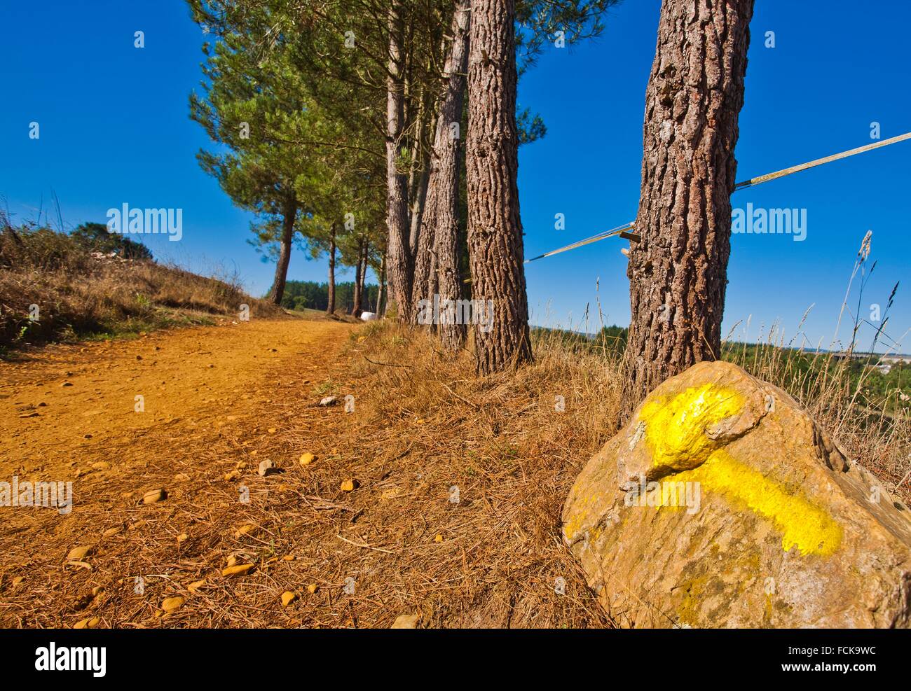 Arrow Symbol Stock Photos & Arrow Symbol Stock Images - Alamy