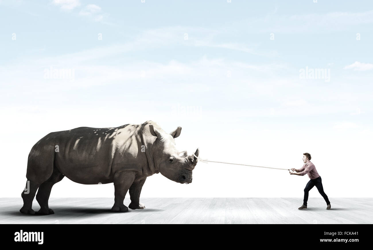 Young guy holding big rhino on lead Stock Photo - Alamy