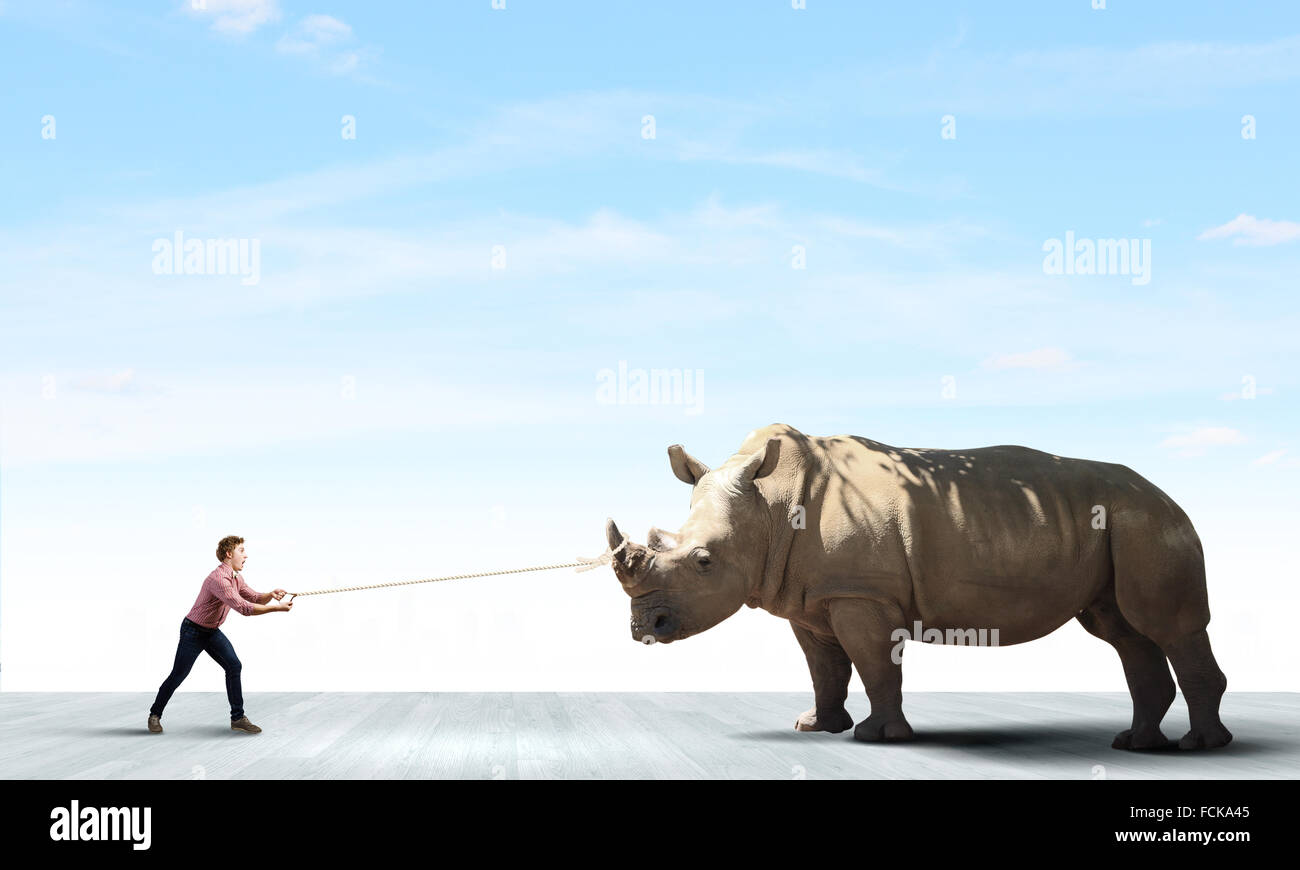 Young guy holding big rhino on lead Stock Photo - Alamy