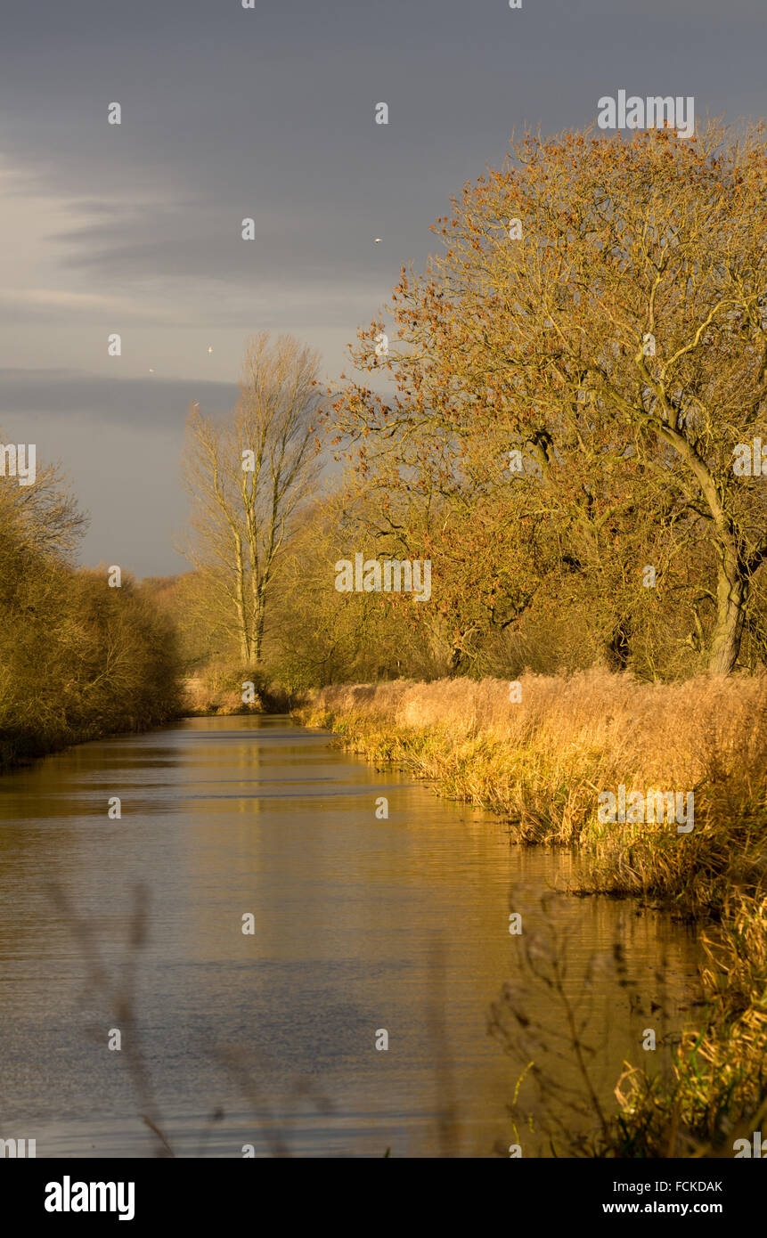 Cold grey winter sky hi-res stock photography and images - Alamy
