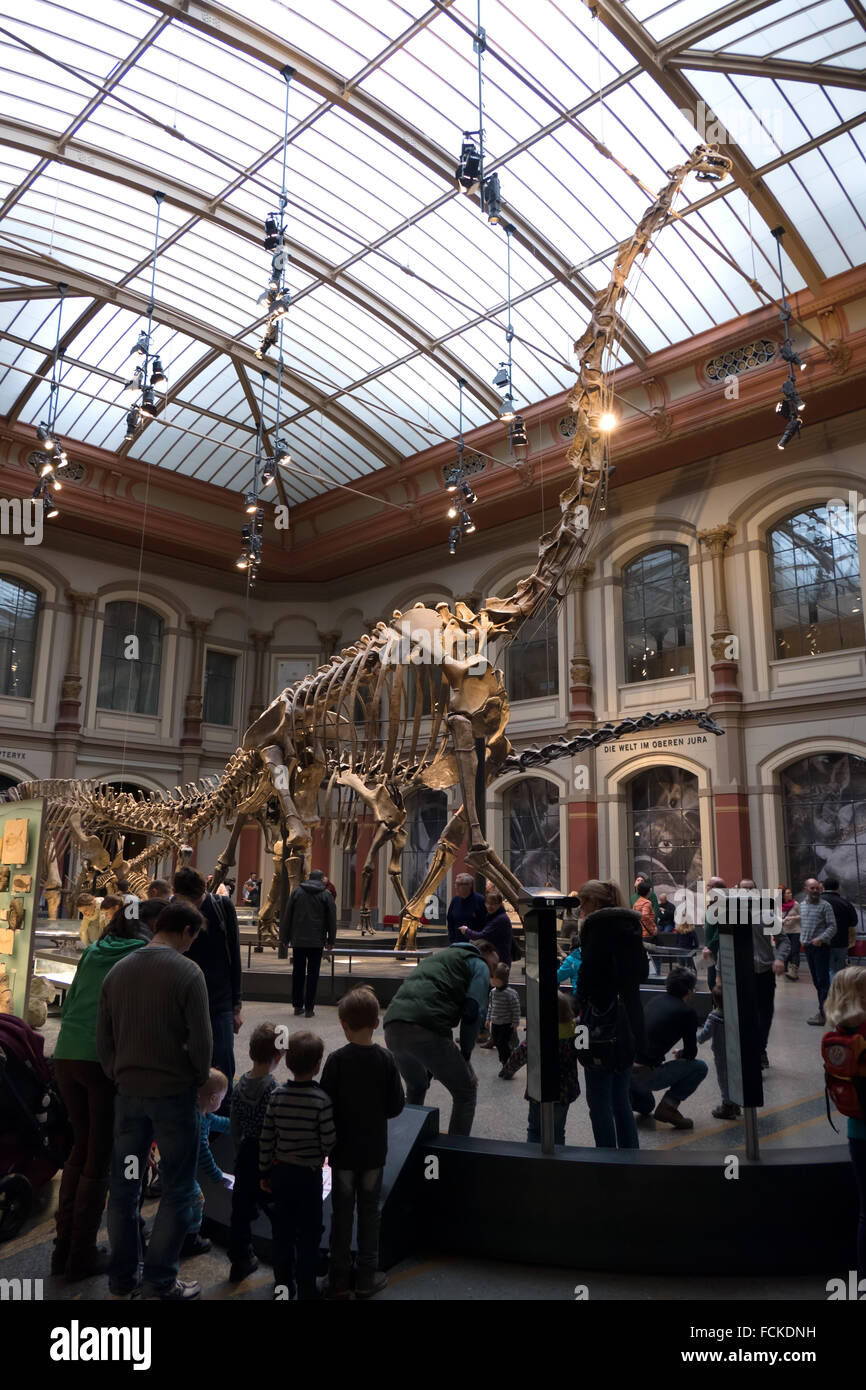 Berlin, Germany. Museum fur Naturkunde or Naturkundemuseum, Museum of ...