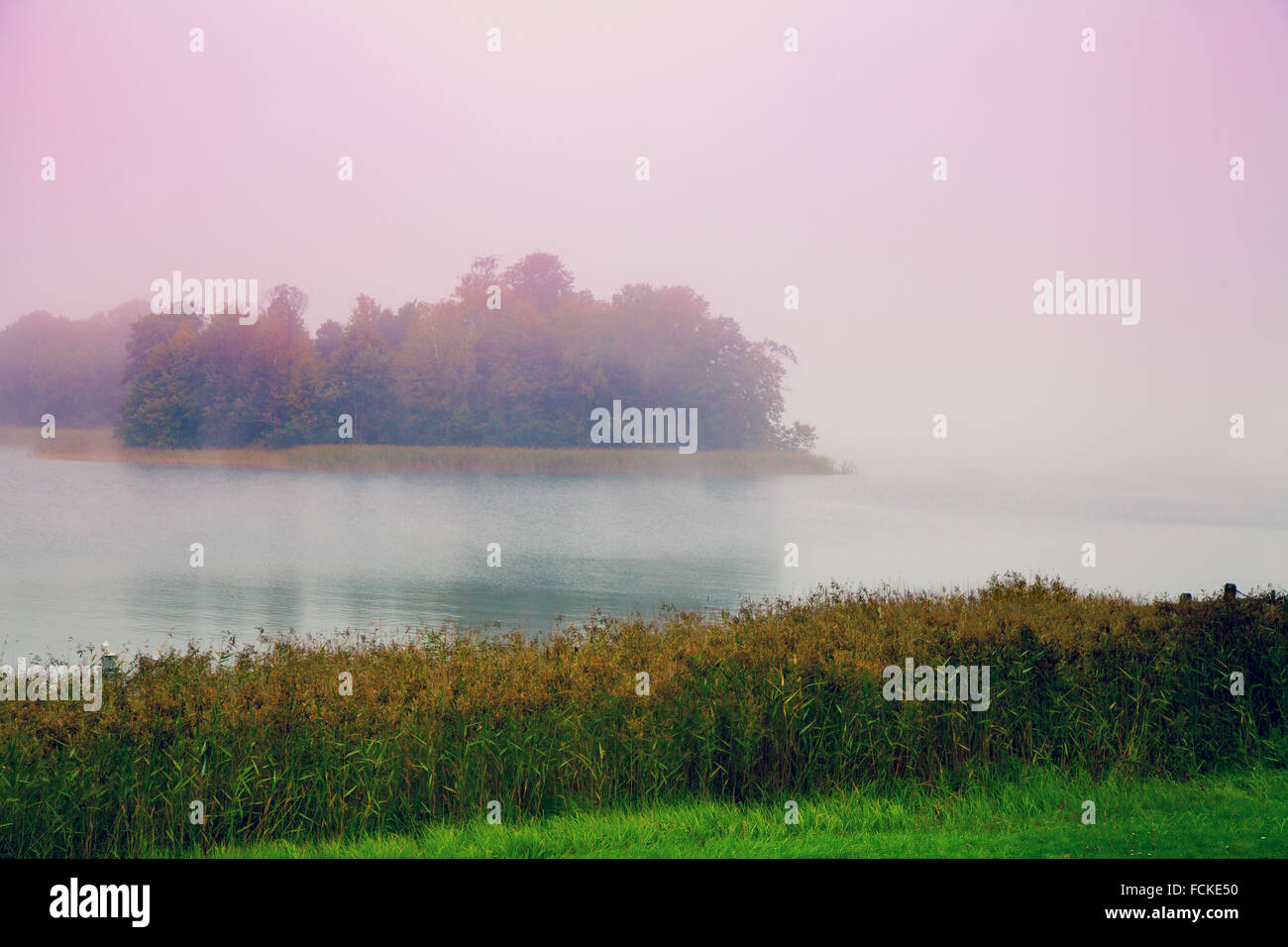 Misty morning. mist over lake Stock Photo - Alamy