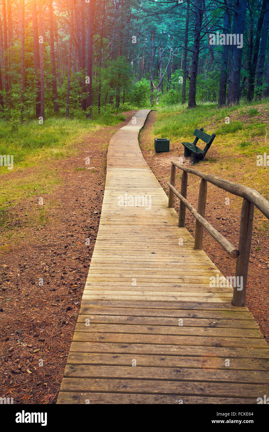 Wooden pathway in the forest Stock Photo - Alamy