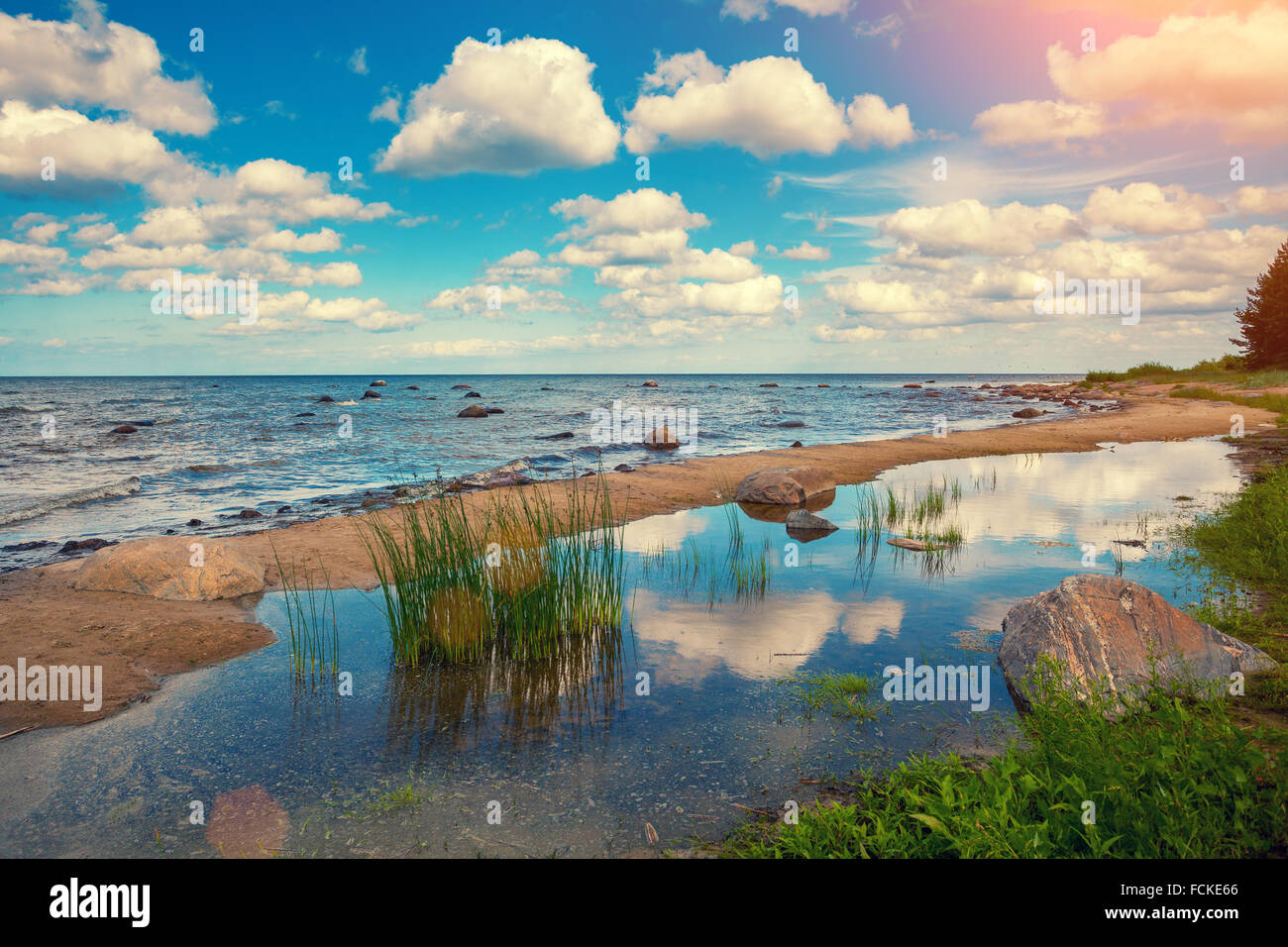 Baltic sea coast Stock Photo - Alamy