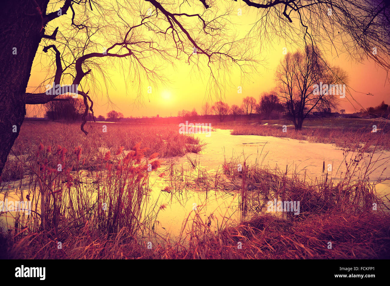Rural landscape. Sunset over lake Stock Photo - Alamy