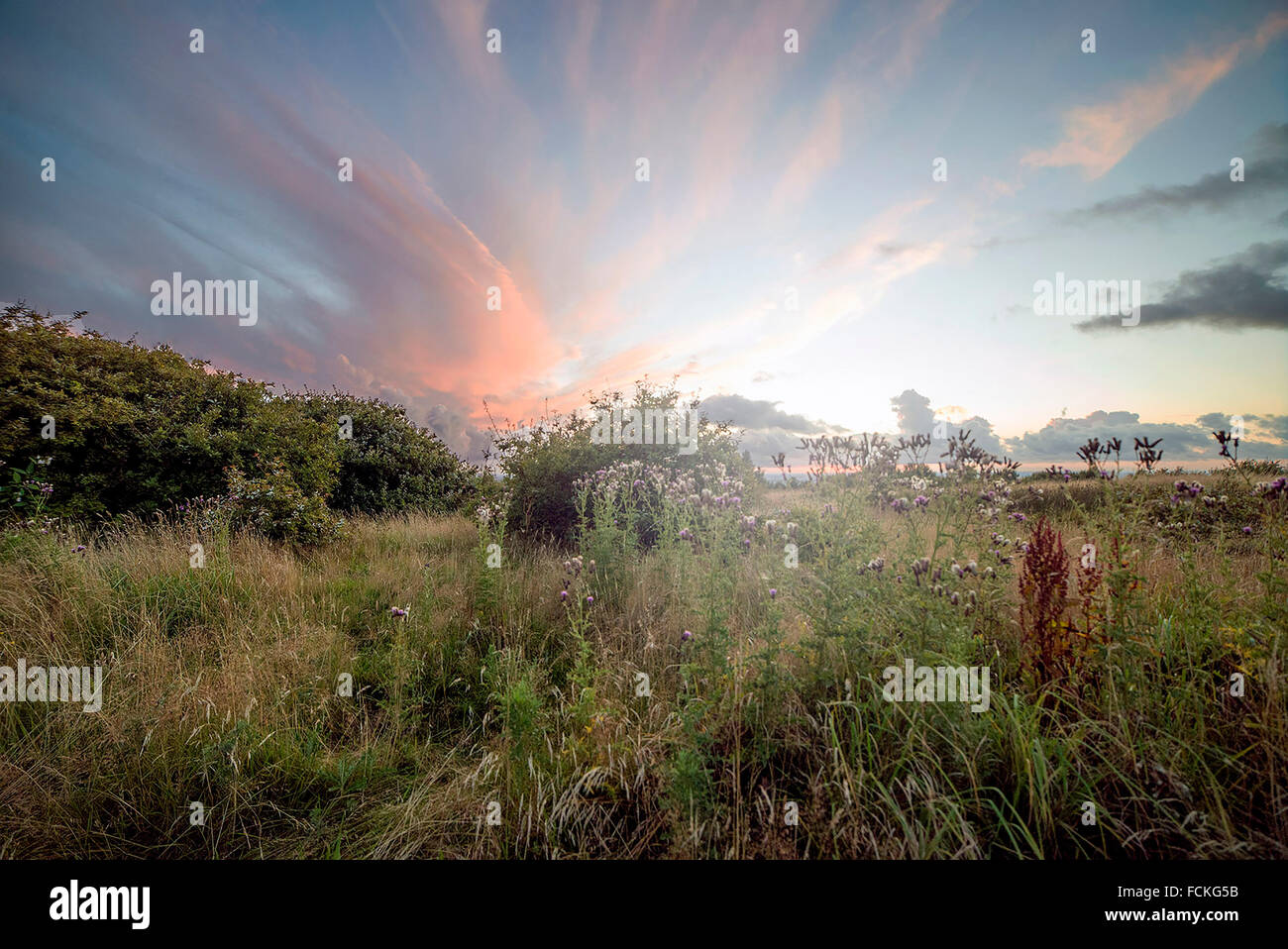 Beautiful British Landscape Stock Photo - Alamy