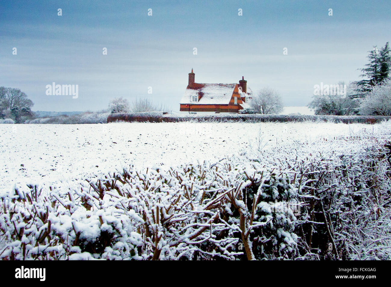 Winter in Surrey Stock Photo - Alamy