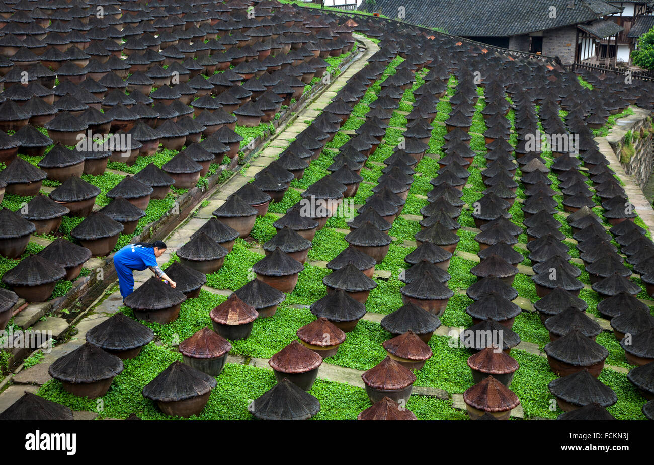 soy sauce factory Stock Photo - Alamy