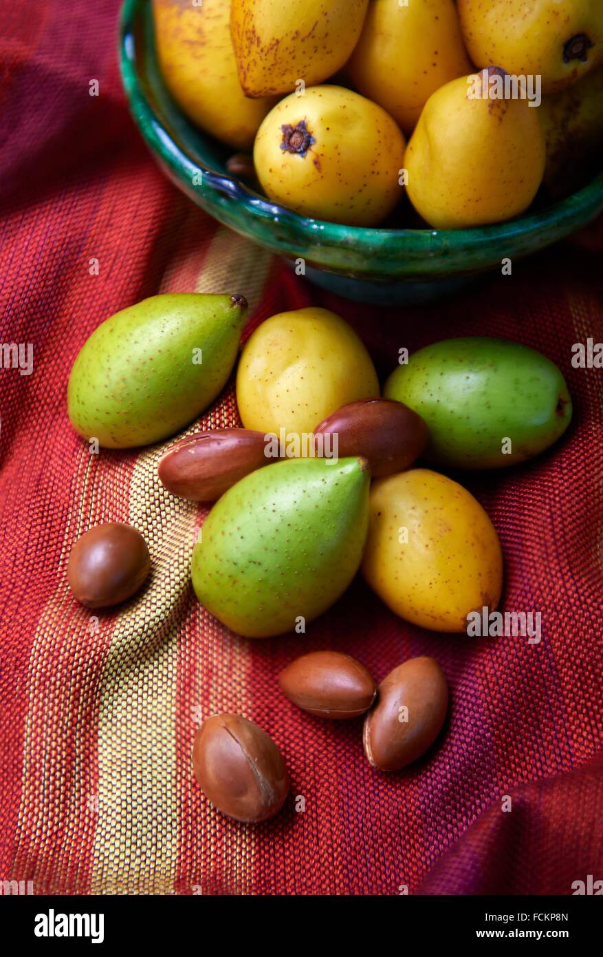 Argania spinosa l hi-res stock photography and images - Alamy