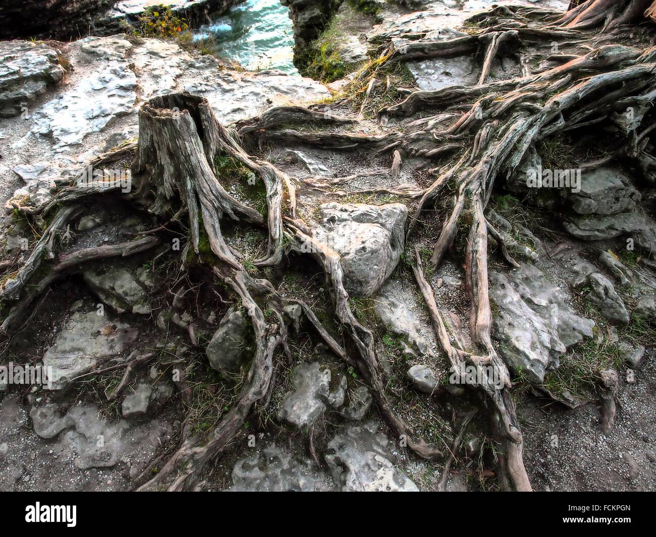 Cave point park door county hi-res stock photography and images - Alamy