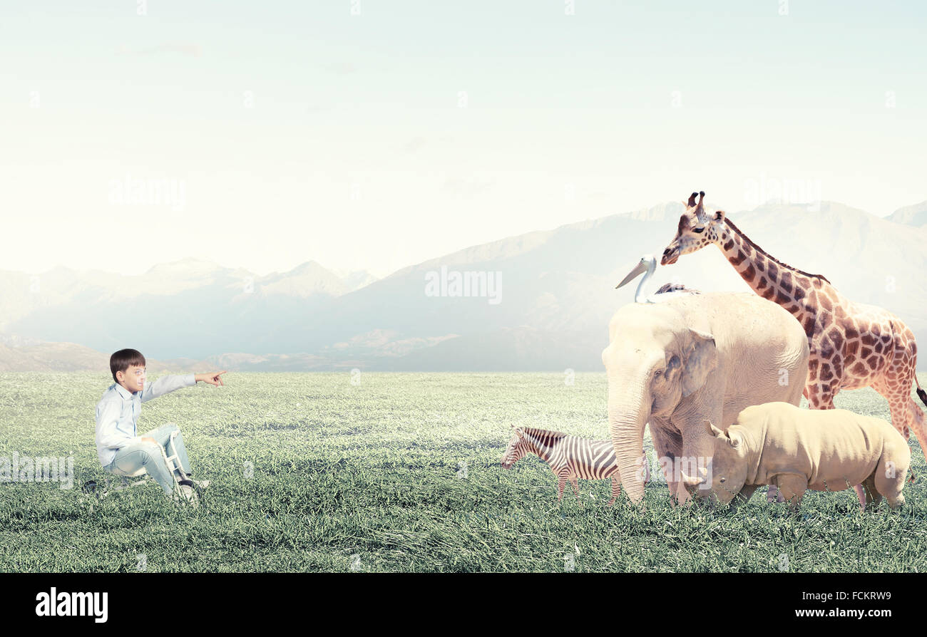 Boy of school age outdoor with wild animals Stock Photo - Alamy