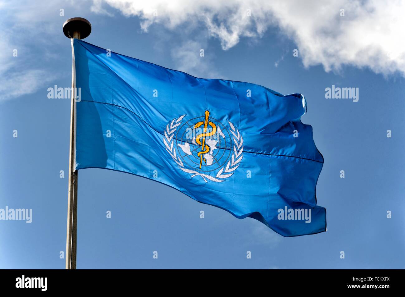 Who Flag World Health Organization Stock Photos & Who Flag World Health ...