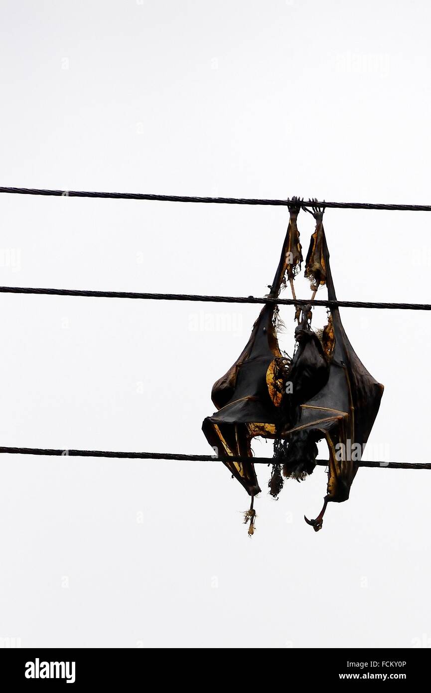 Burning gorge hi-res stock photography and images - Alamy