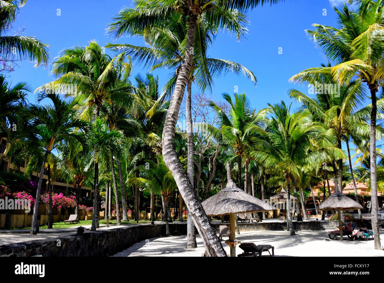 Mascarenhas Archipelago High Resolution Stock Photography and Images ...