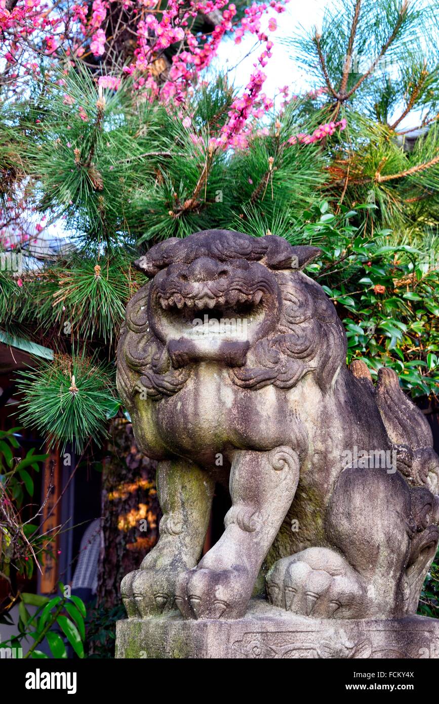 Shisa lion statue hi-res stock photography and images - Alamy