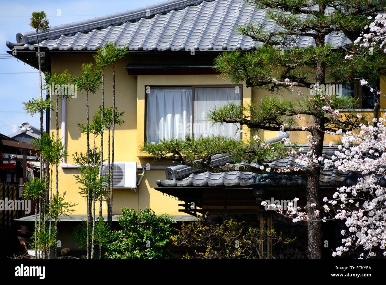 Japanese modern garden hi-res stock photography and images - Alamy