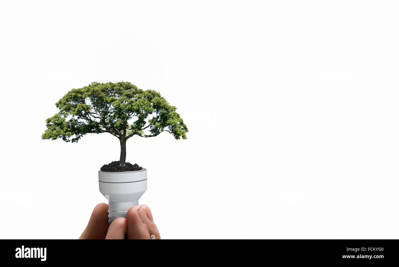 Close up of hand holding light bulb with tree inside Stock Photo - Alamy