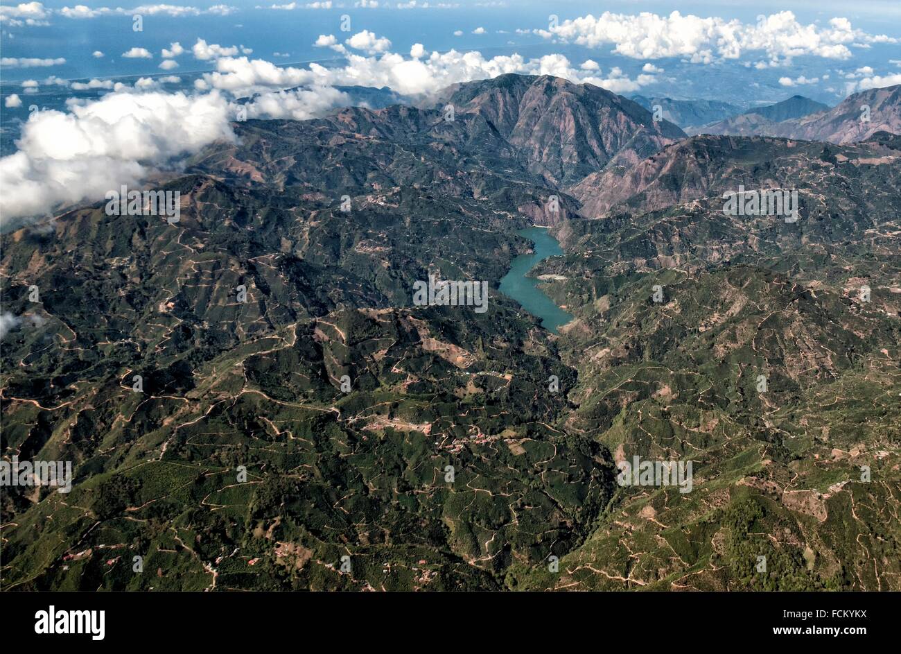 Blue mountain coffee cultivation hi-res stock photography and images ...