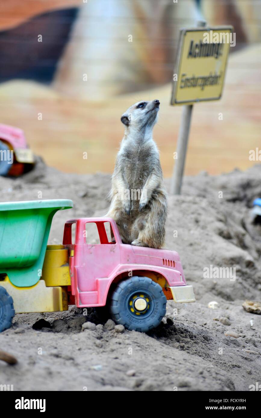 Joe bodemann hi-res stock photography and images - Alamy