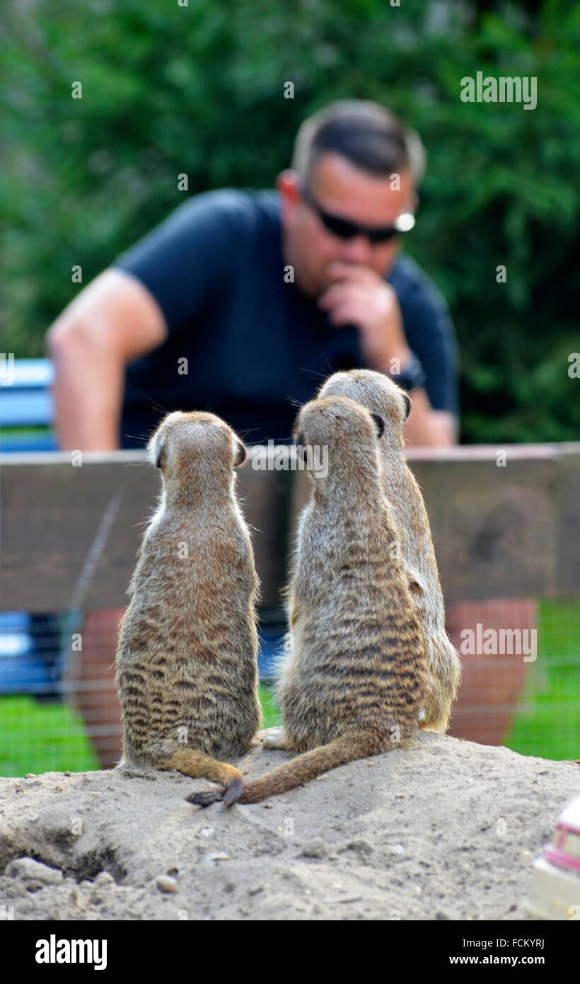 Movie animal trainer hi-res stock photography and images - Alamy