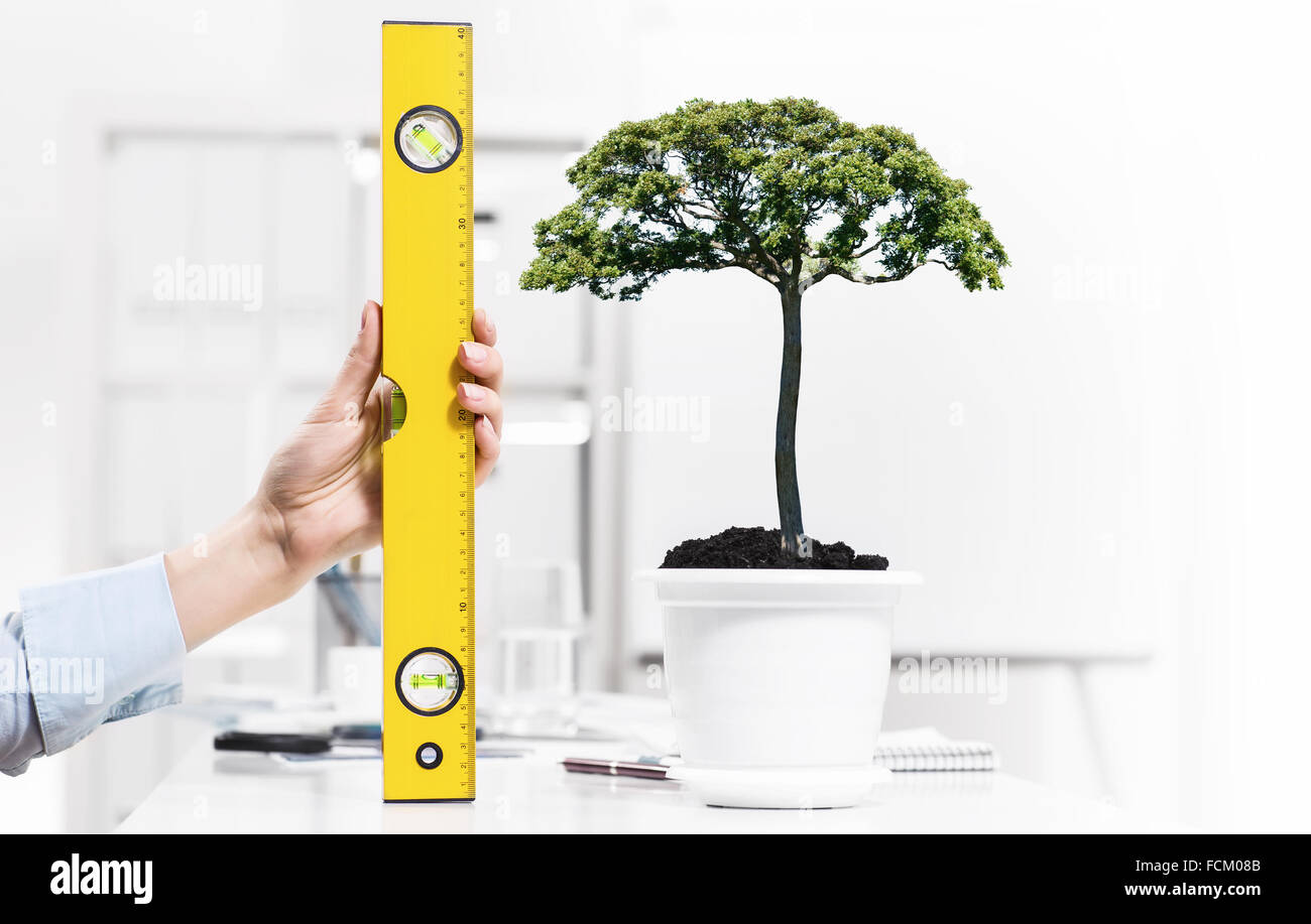 Close up of human hand measuring plant in pot with ruler Stock Photo ...