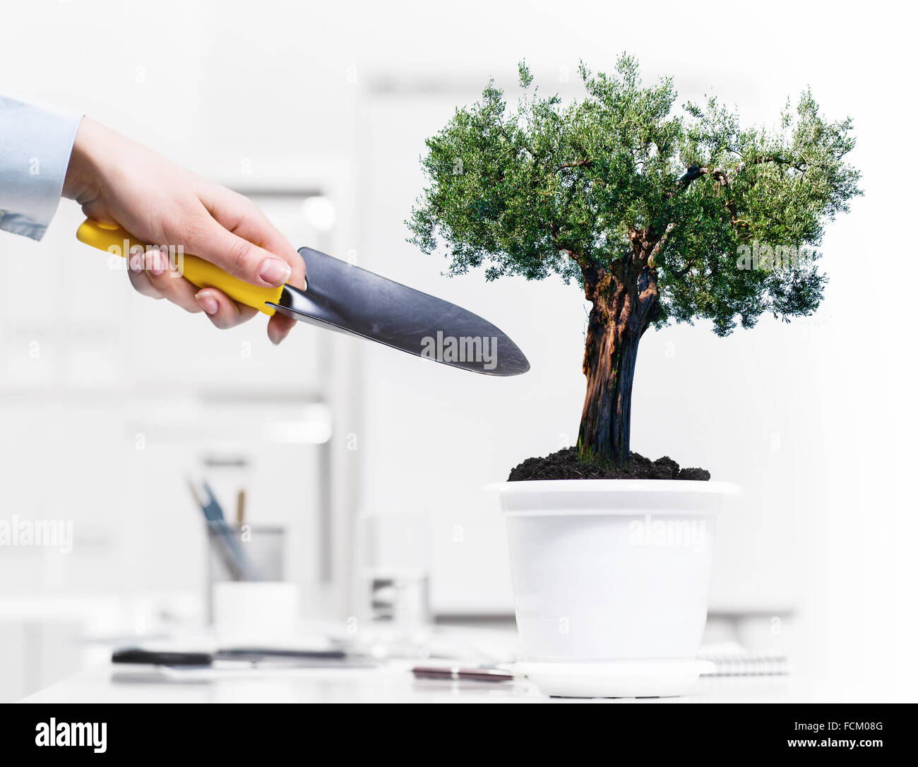 Close up of human hand and plant in pot Stock Photo - Alamy