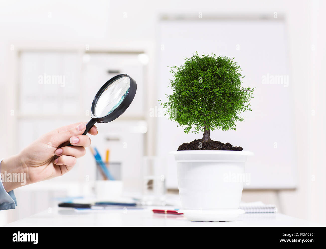 Close up of human hand examining plant in pot with magnifier Stock ...