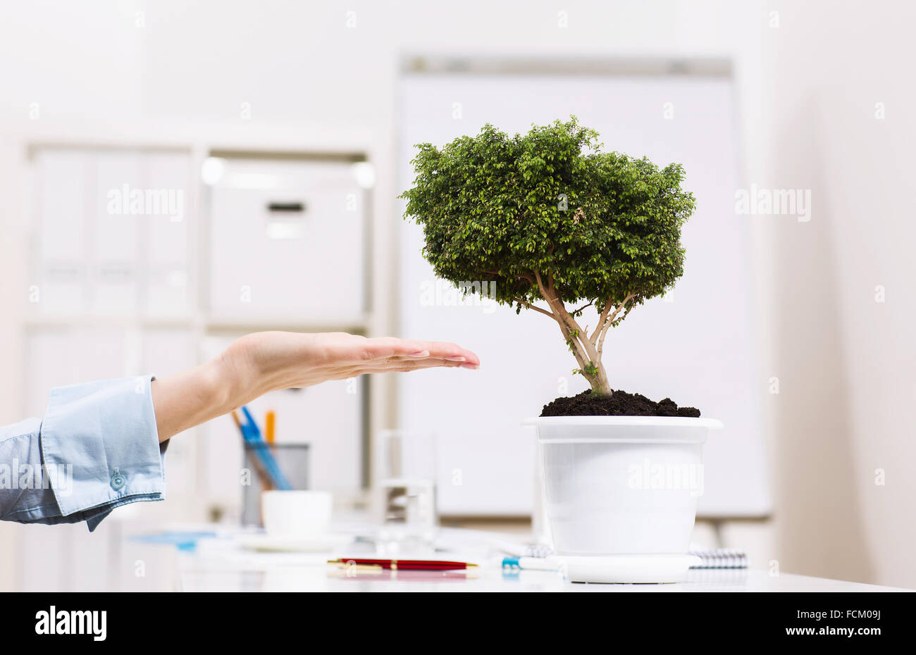 Close up of human hand and plant in pot Stock Photo - Alamy