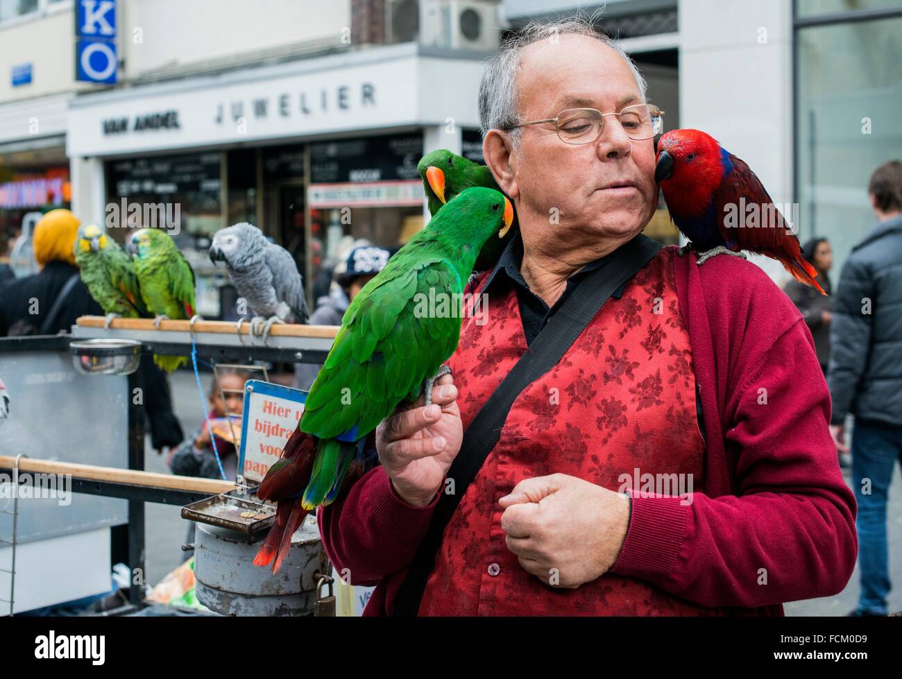 Only parrots hi-res stock photography and images - Alamy