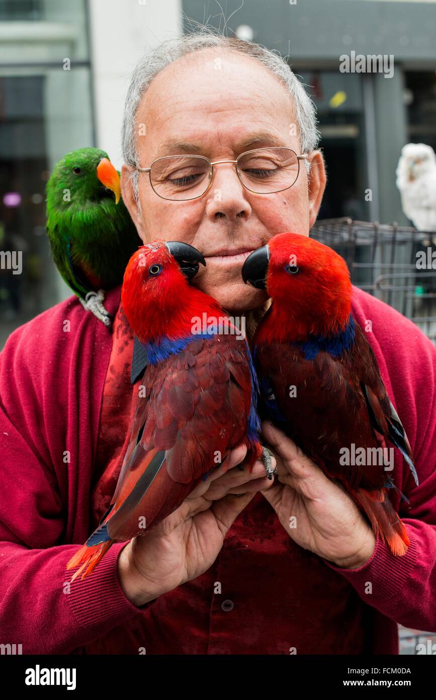 Netherlands middle aged man wearing hi-res stock photography and images ...