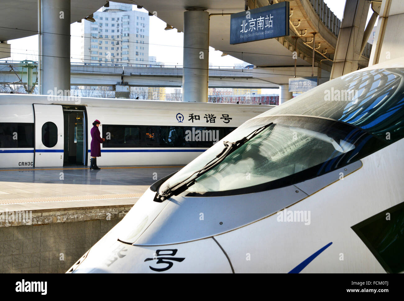 Tianjin, China. 23rd Jan, 2016. Two high-speed trains are ready to ...