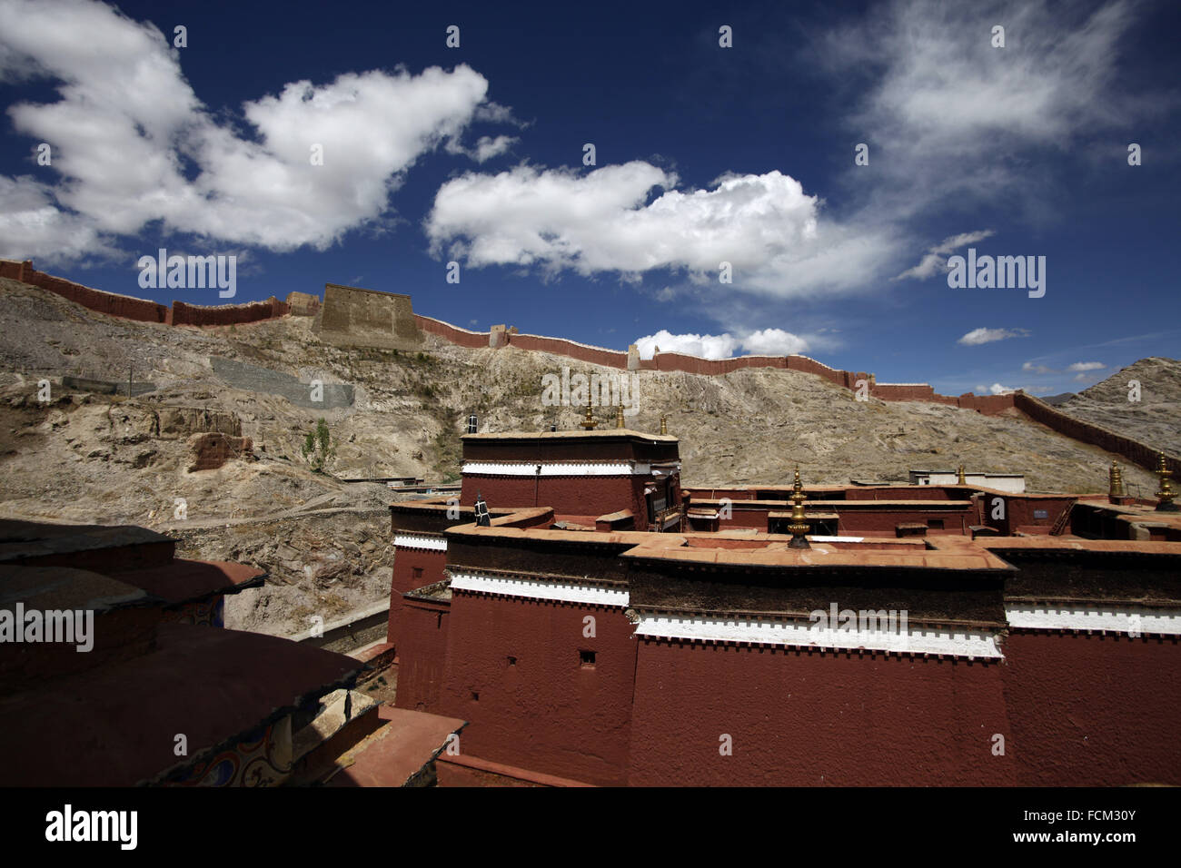 Palkor hi-res stock photography and images - Alamy