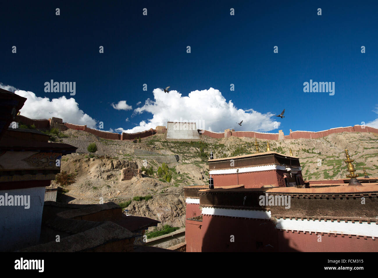 Palkor hi-res stock photography and images - Alamy