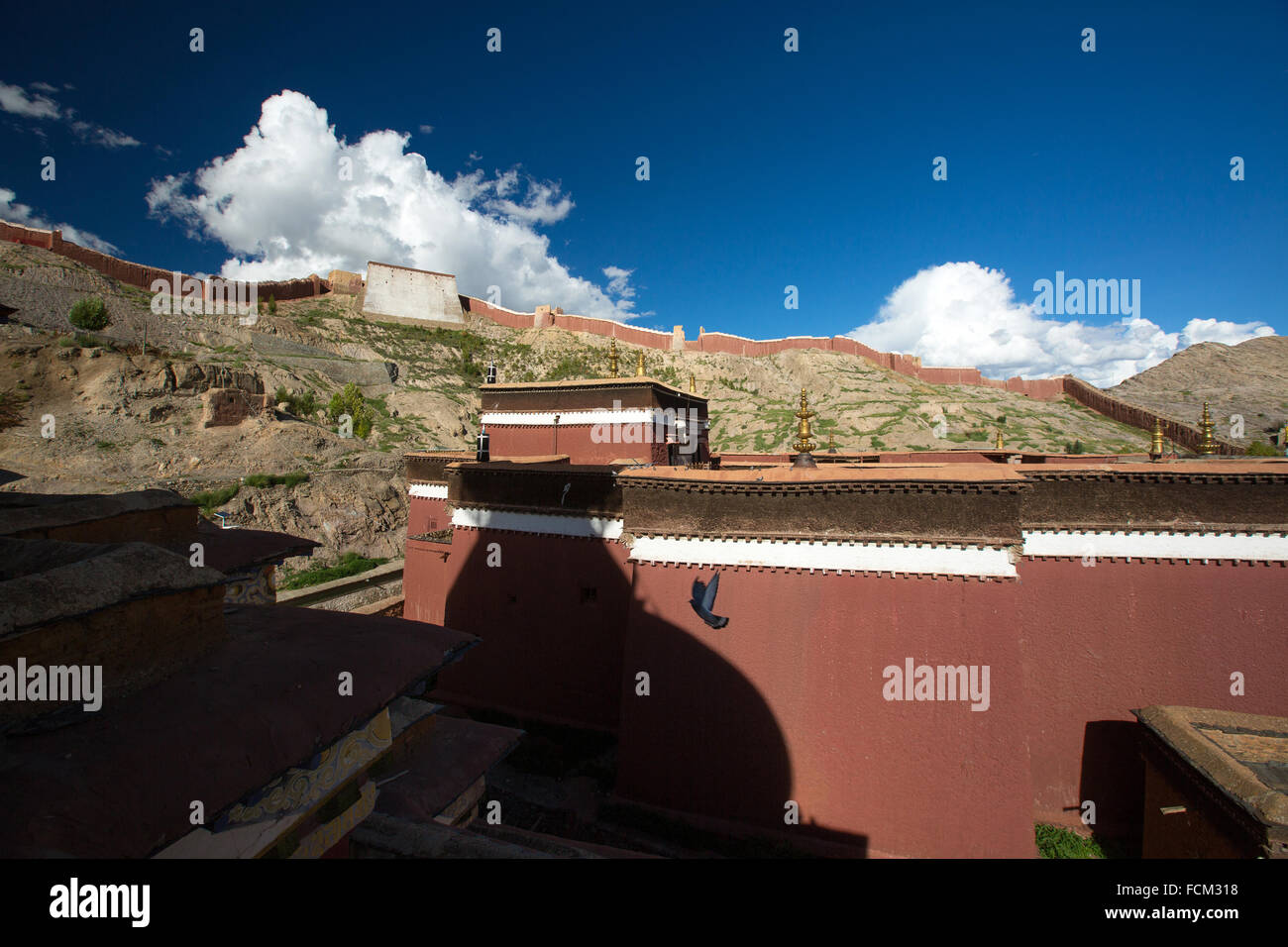 Palkor hi-res stock photography and images - Alamy